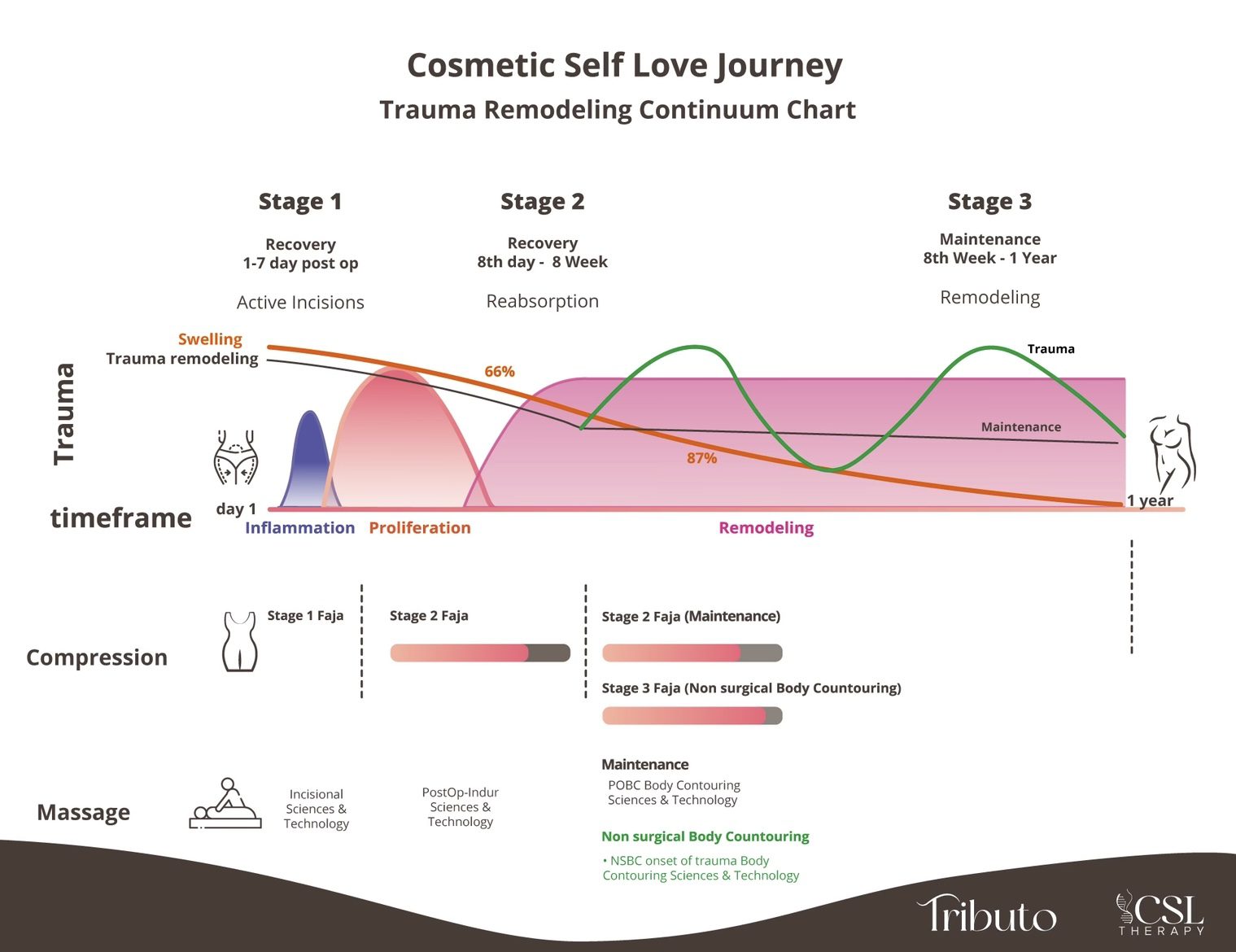 Trauma Remodeling Chart - CSL Therapy